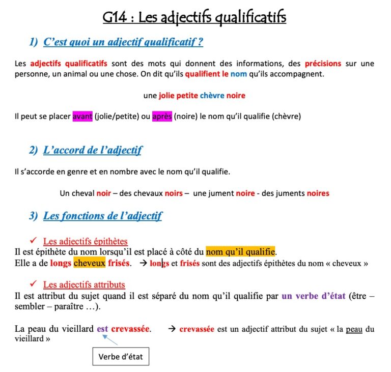 Les adjectifs qualificatifs : leçon CM1/CM2