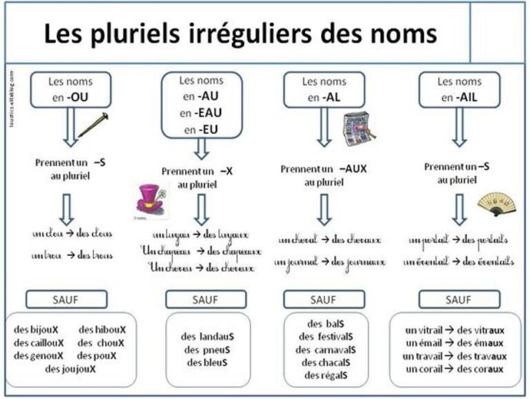 Le pluriel des noms : leçon CM1-CM2