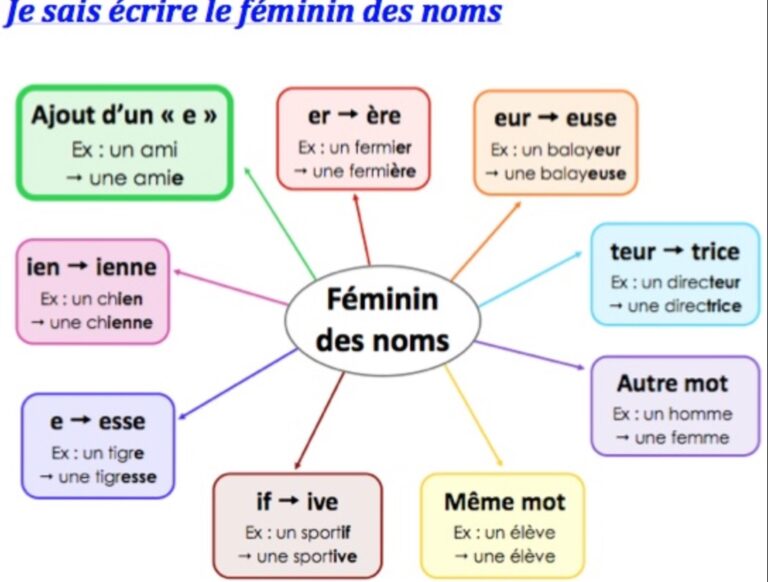 O10 Le genre (masculin et féminin des noms) : exercices...