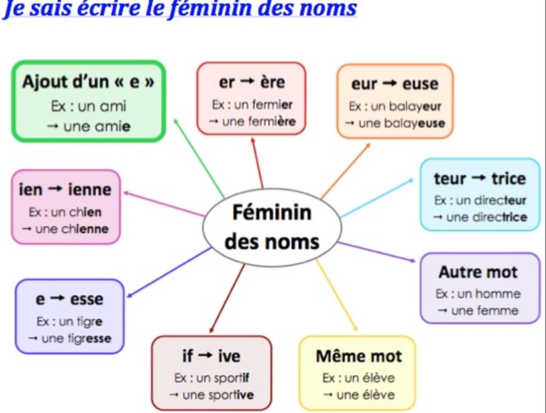 O10 Le genre (masculin et féminin des noms) : exercices...