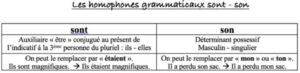 Les homophones son sont : exercices CM1-CM2