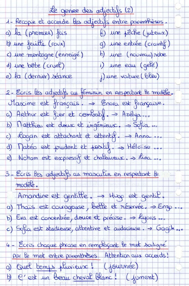 Accord dans le groupe nominal: leçon et exercices CM1/CM2