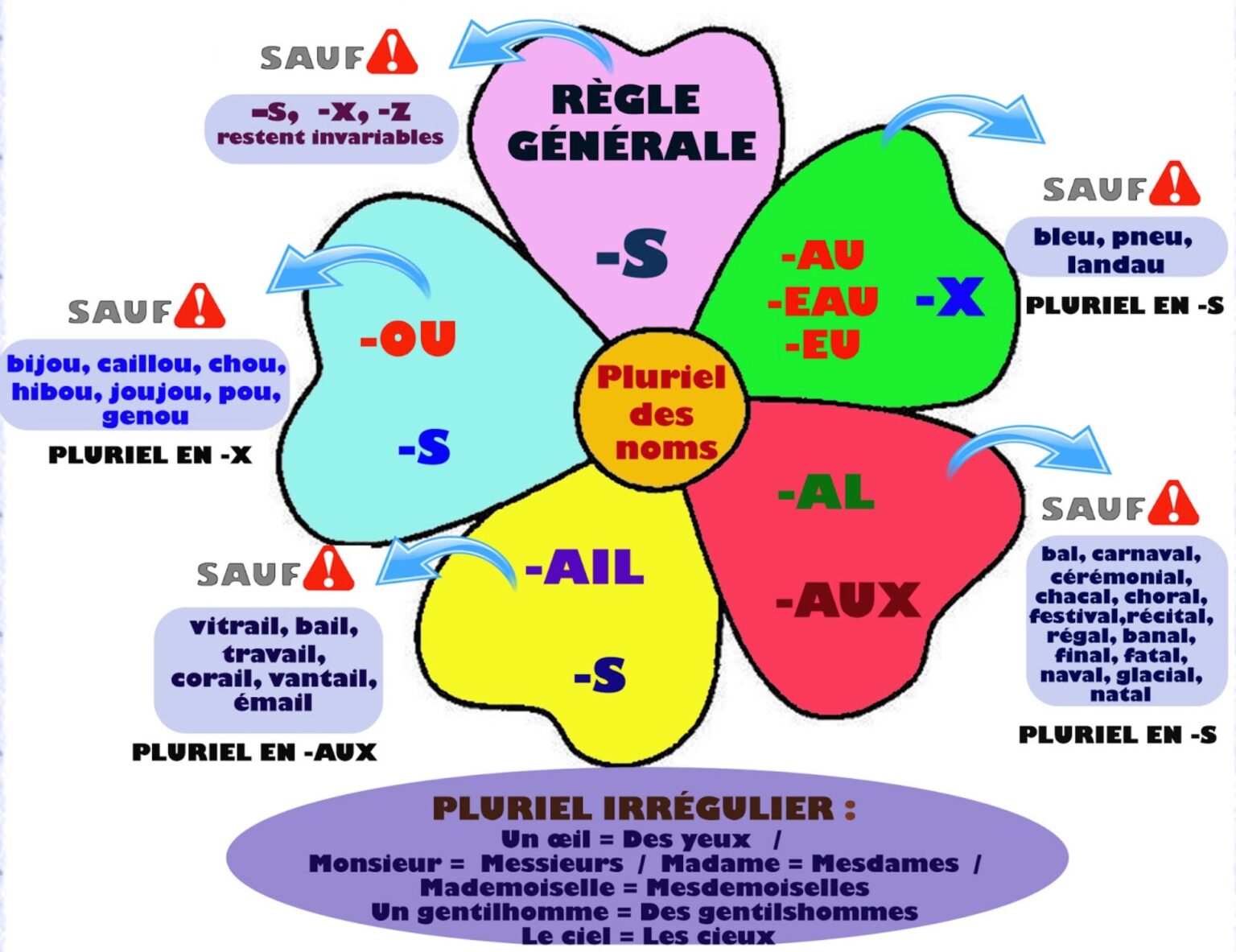 Accord dans le groupe nominal: leçon et exercices CM1/CM2