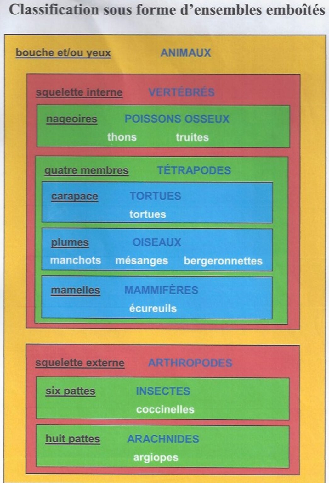 Classification des animaux : leçon CM1-CM2