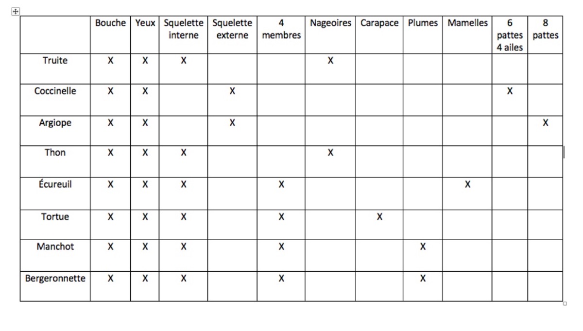 Classification des animaux : leçon CM1-CM2