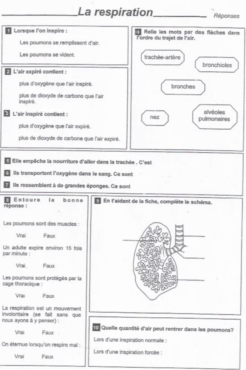 L'appareil respiratoire : leçon/exercices CM1/CM2