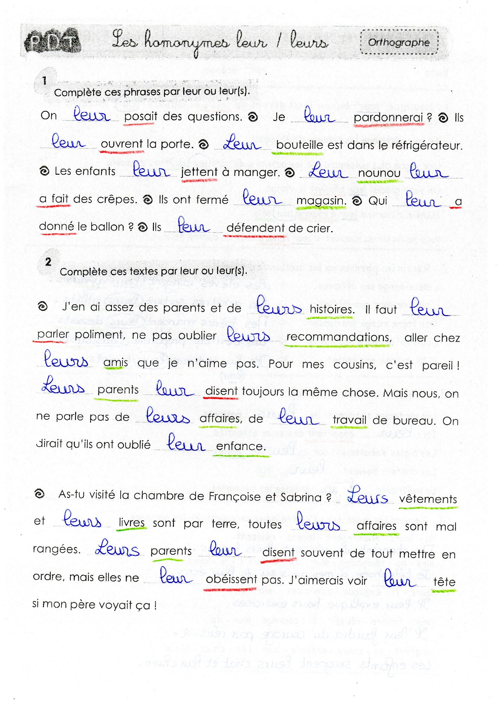 Les homophones grammaticaux leur leurs : exercices CM1/2