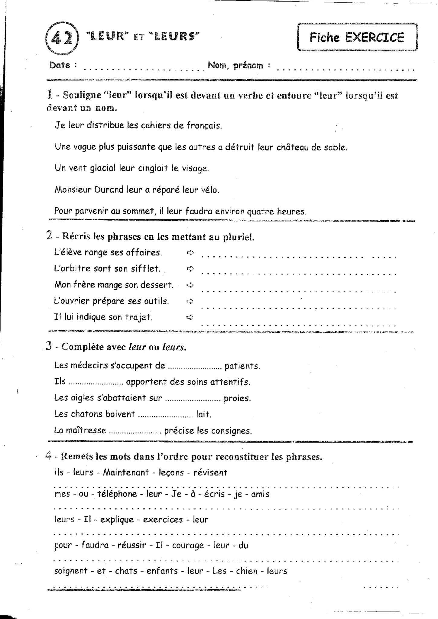 Les homophones grammaticaux leur leurs : exercices CM1/2