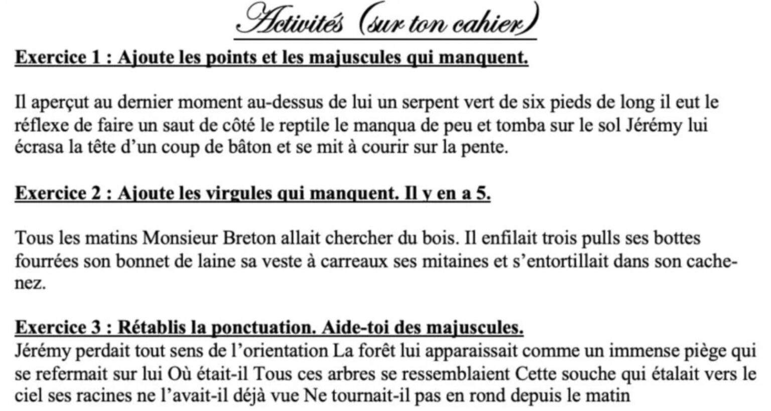 Exercices de ponctuation CM1 CM2 gratuits : signes, virgules et ...