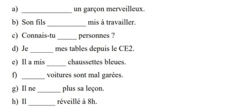 HG8 exercices ces ses c'est sait (homophones grammaticaux)