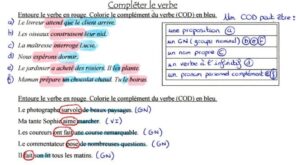 Exercices sur les COD CM1 CM2 – Compléments du verbe